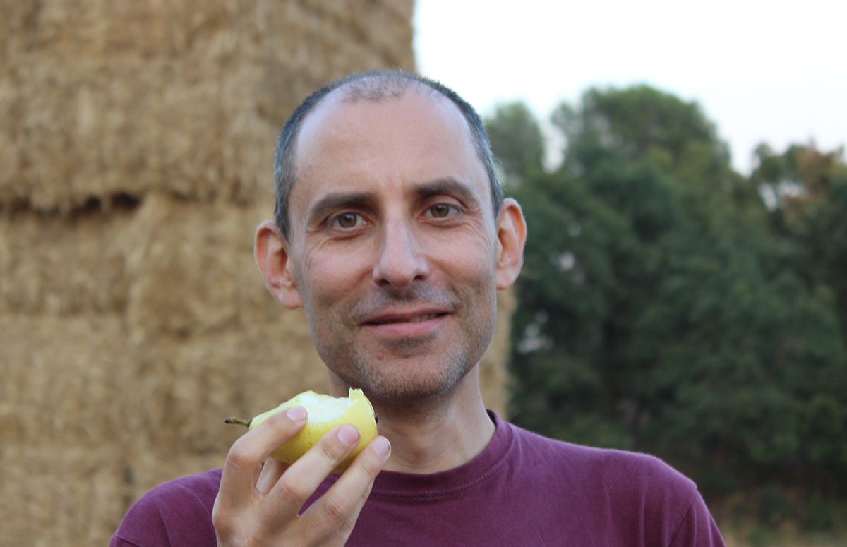 Julio Basulto: “La disponibilidad de alimentos en el hogar y el ejemplo ...